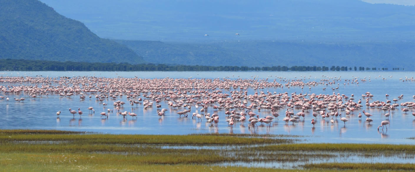 Lake Manyara National Park - Tanzania Self drive Tours
